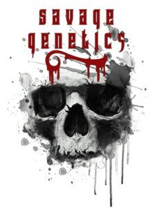 Bloom seed co genetics - Exclusive Cannabis Genetics & Rare Marijuana ...