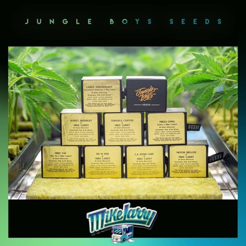 Jungle Boys Genetics - Exclusive Cannabis Genetics & Rare Marijuana ...