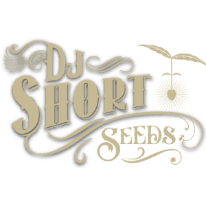 Bloom seed co genetics - Exclusive Cannabis Genetics & Rare Marijuana ...